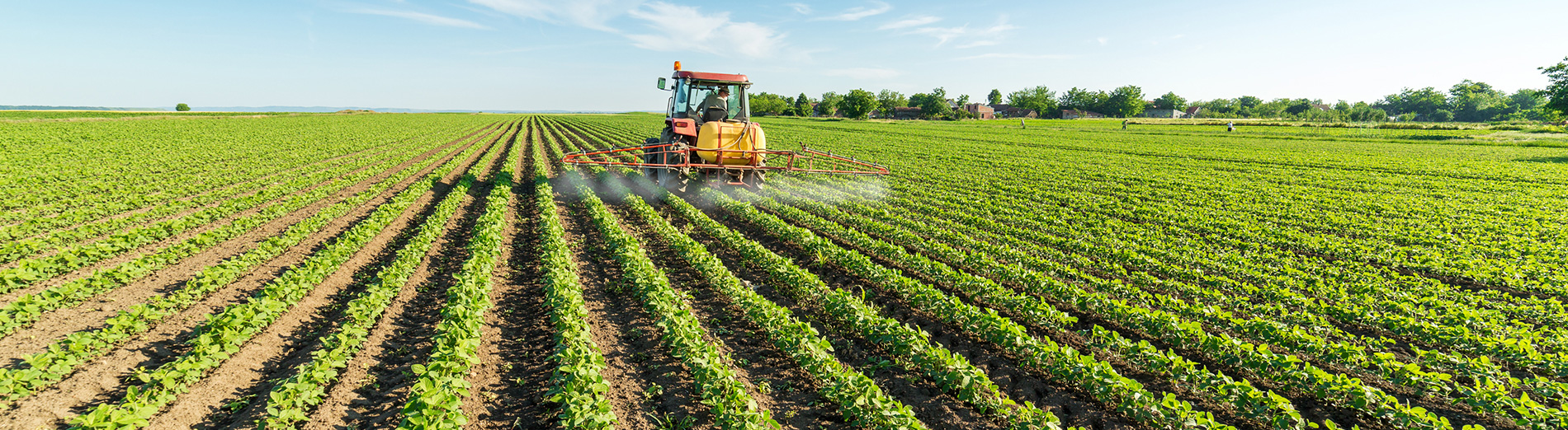 Improving Yields & Quality - Midwestern BioAg